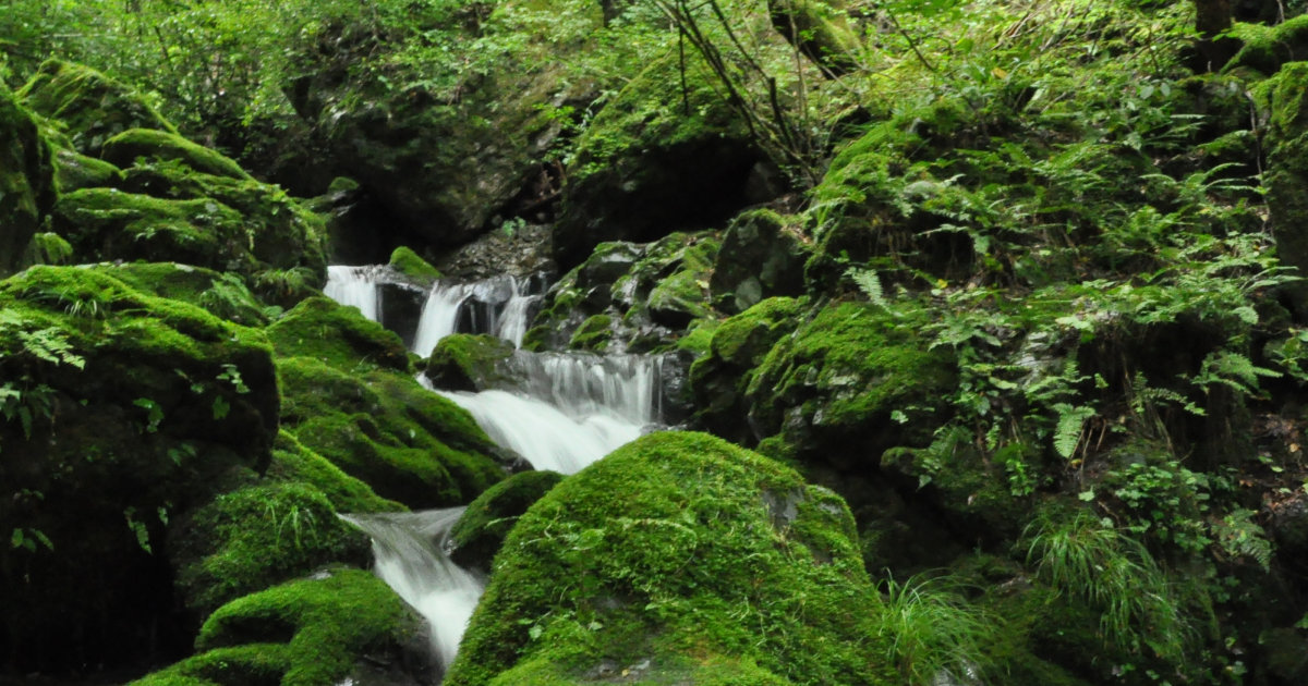 Natural Water Sanctuaries Across Japan｜Suntory Natural Water Sanctuaries