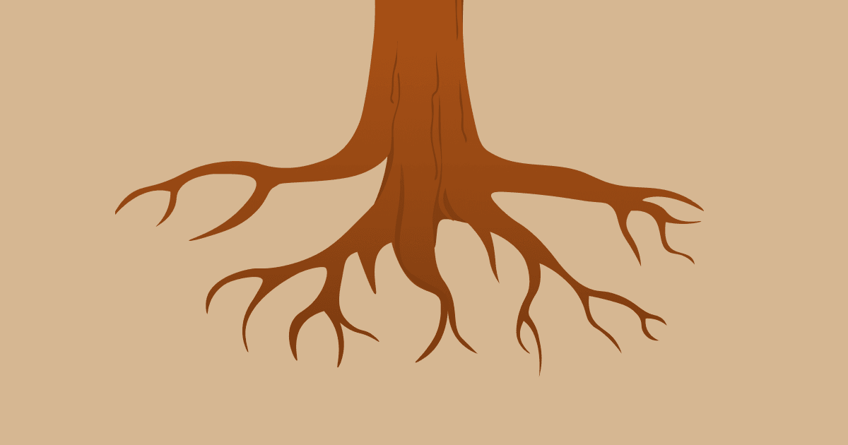 Tree Roots｜Living Things in the Natural Water Sanctuaries｜Suntory ...