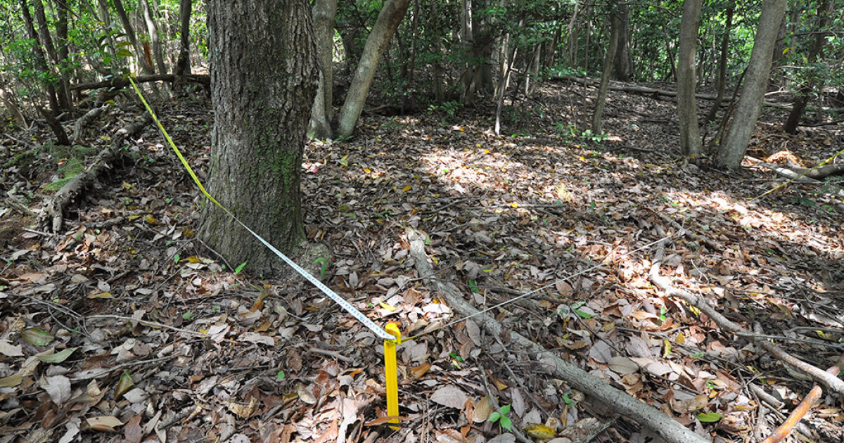 Forest Zoning｜Initiative Policy and Structure｜Suntory Natural Water ...